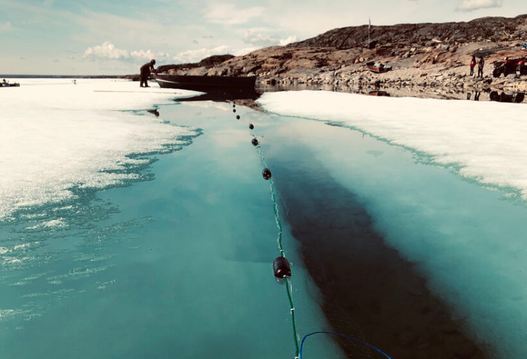 Taloyoak - Arcticonnexion